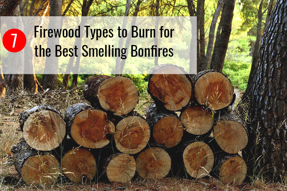 7 Firewood Types to Burn for the Best Smelling Fires – Sunnydaze Decor